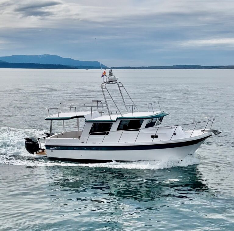 Pacific 3200 | Sea Sport Boats
